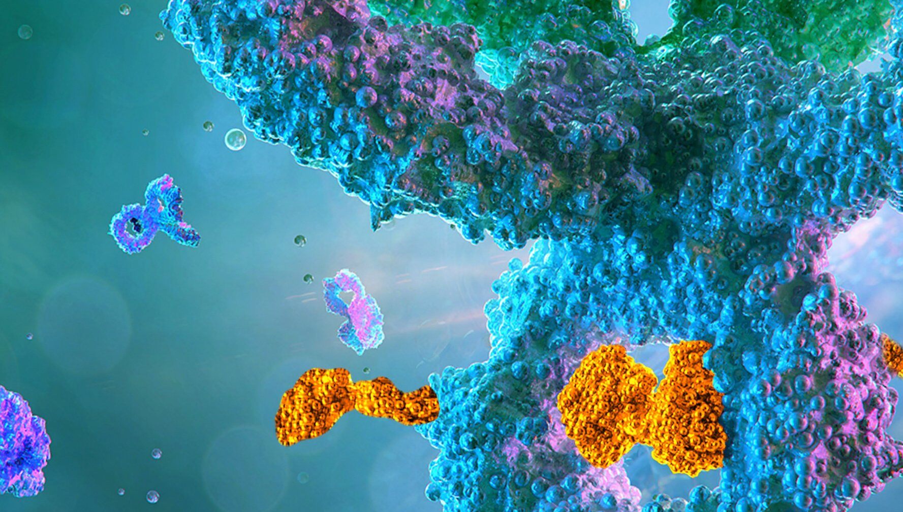 Target to Lead Selection for ADCs and Biologics